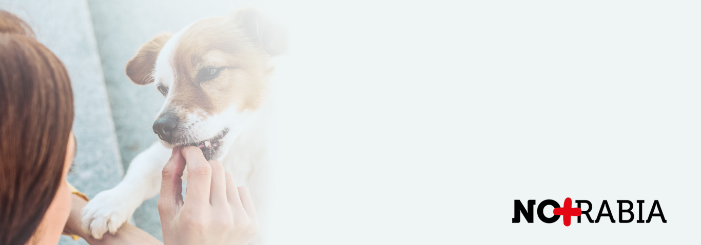 Página principal - MSD Animal Health España