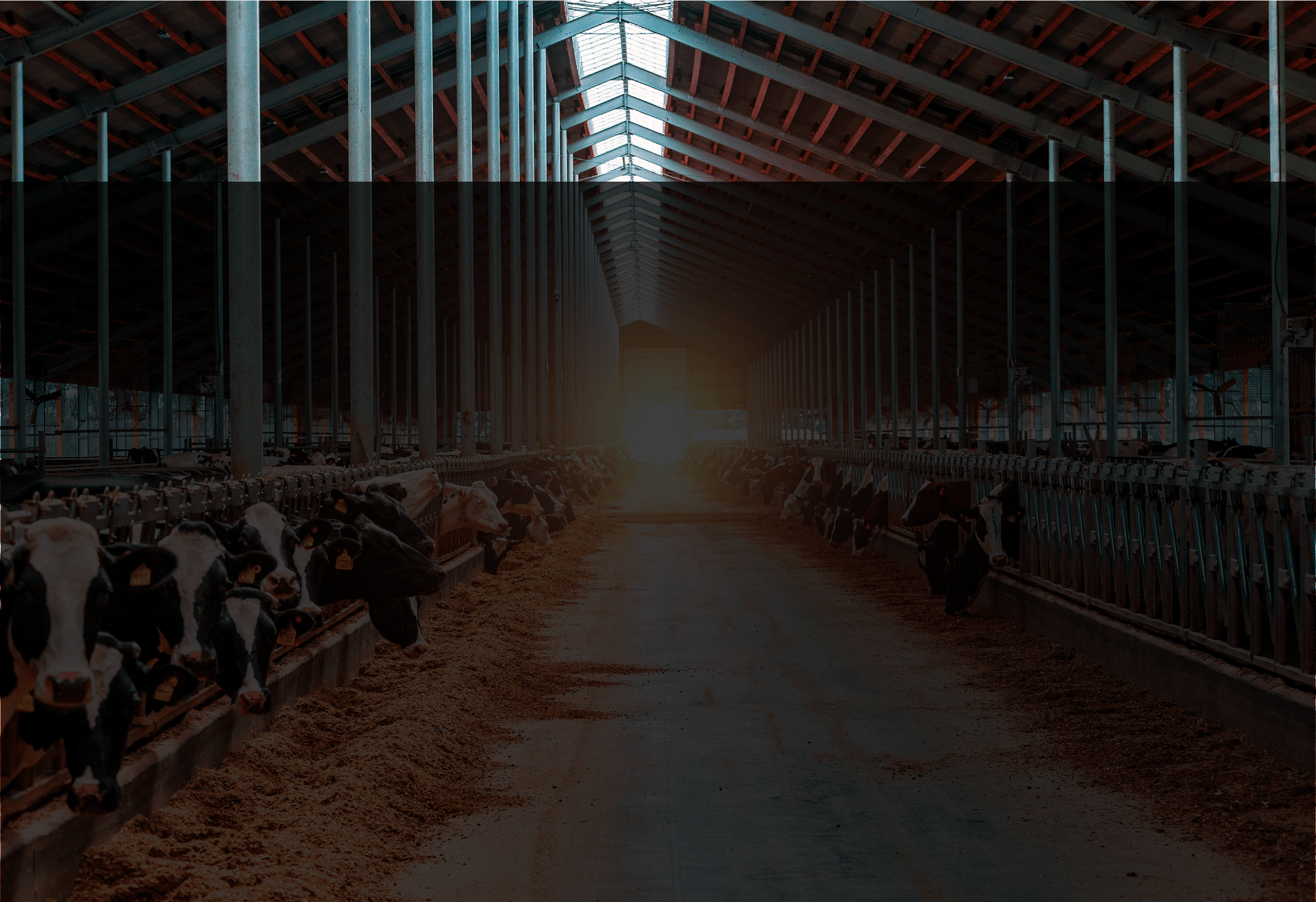 Awareness | MSD Animal Health España