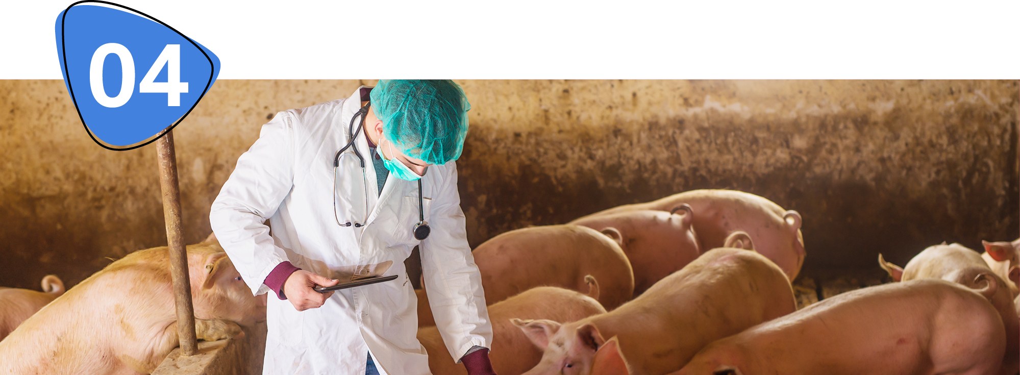 Porcilis® Rota | MSD Animal Health España