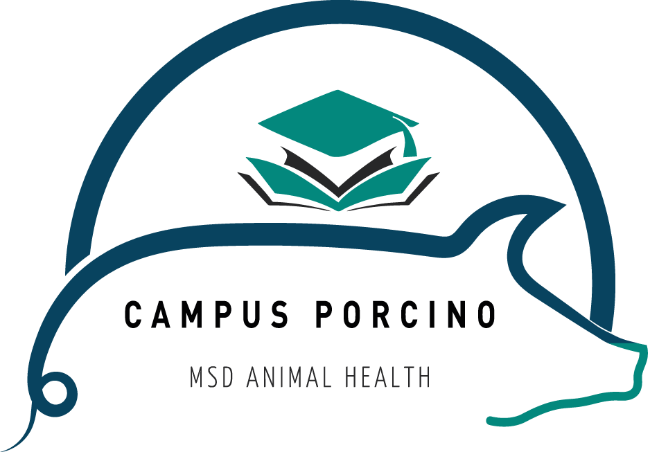 Campus Porcino 2025-2026 | MSD Animal Health España
