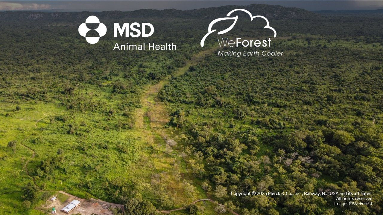 MSD Animal Health y WeForest celebran 10 años comprometidos con la creación de impacto ...