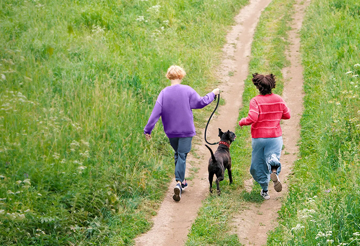 BRAVECTO® triUNO - MSD Animal Health España