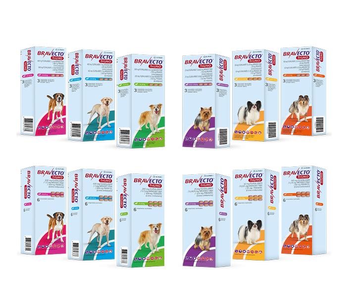 BRAVECTO® triUNO - MSD Animal Health España